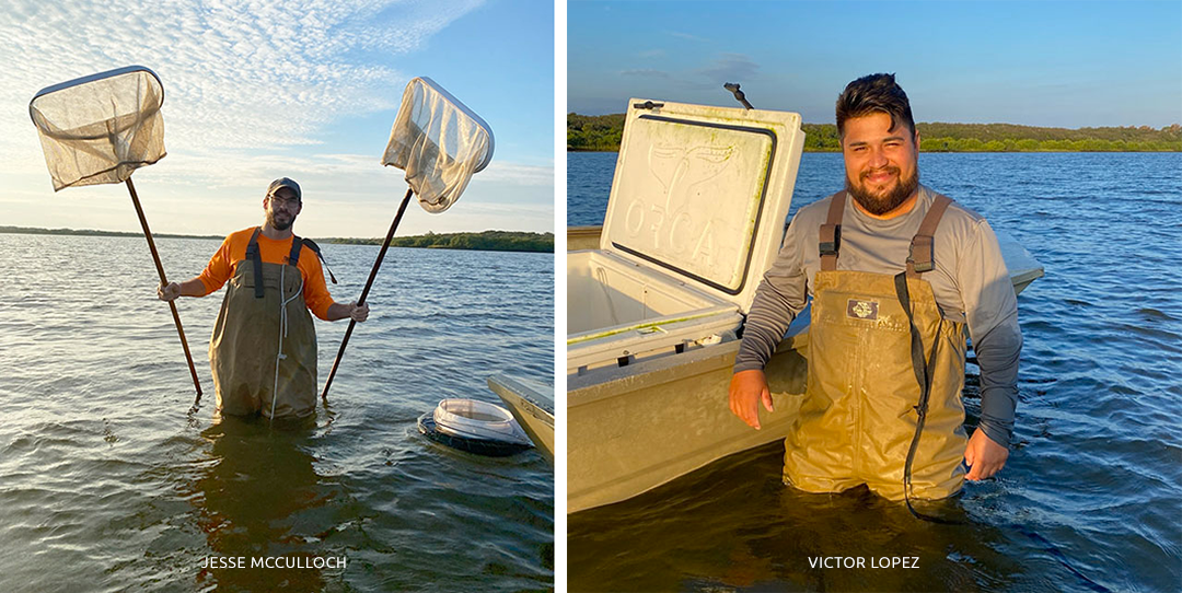 Our Sustainable Mysid Fishery - USMysids